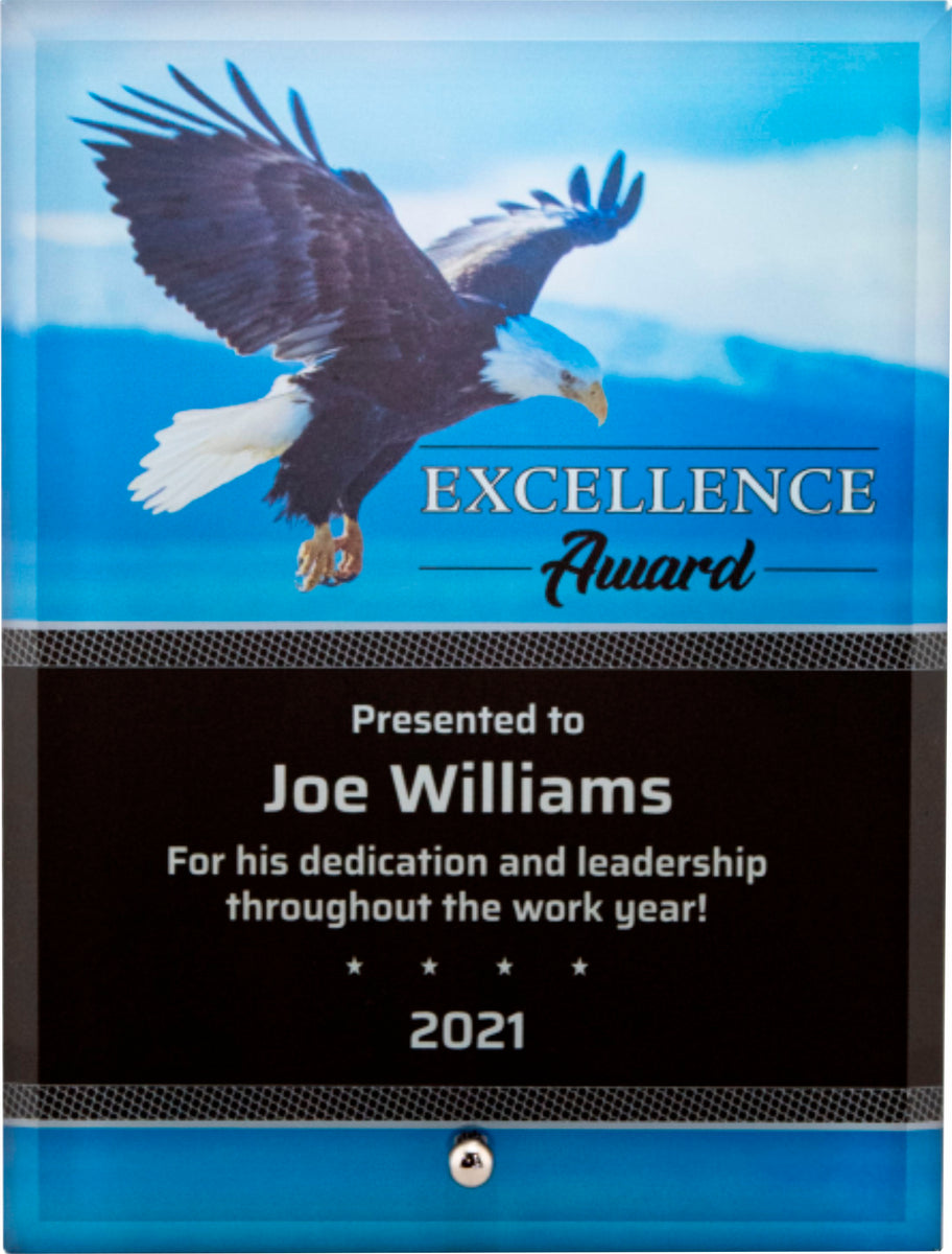 Flying Bald Eagle – Premium Quality – Gino's Awards, Inc.