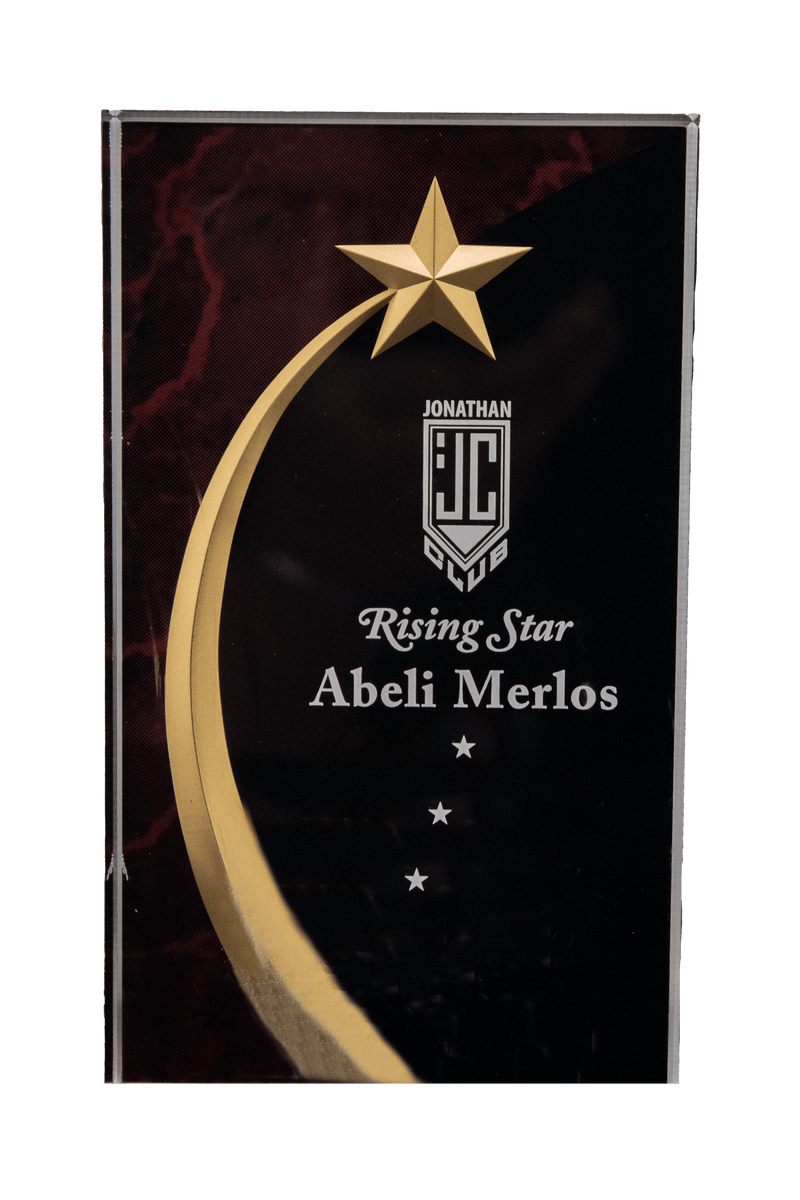 Burgundy & Black Acrylic Award Panel with Gold Shooting Star – Gino's ...