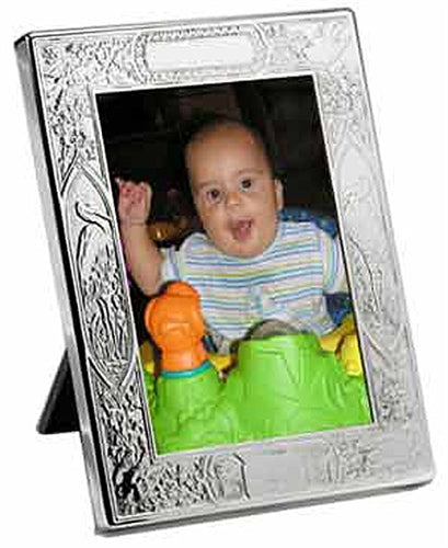 Pewter Birth-Themed Picture Frame – Gino's Awards, Inc.